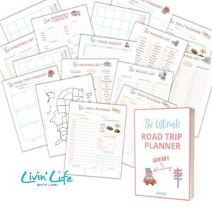 Top 25 Road Trip Essentials | Livin' Life With Lori