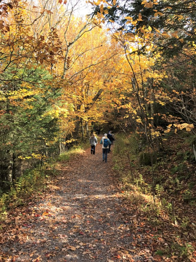 Best Camping Outfits For Fall | Livin' Life With Lori