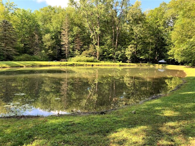 RV Camping At Mt Greylock Campsite Park | Livin' Life With Lori