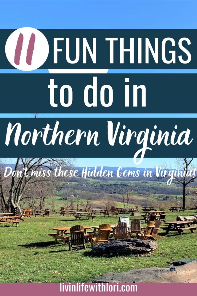 Top 11 Fun Things To Do In Northern Virginia | Livin' Life With Lori
