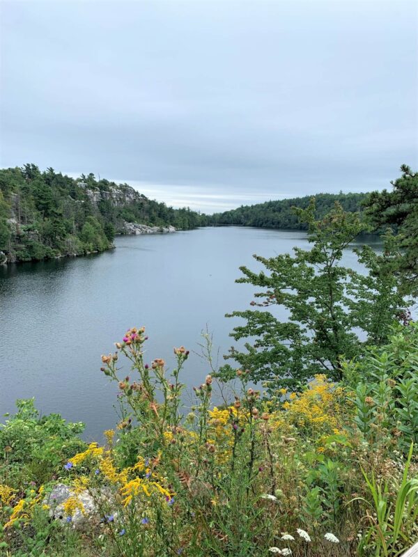 Minnewaska State Park Hiking – Easy Day Hikes You Will Love | Livin ...