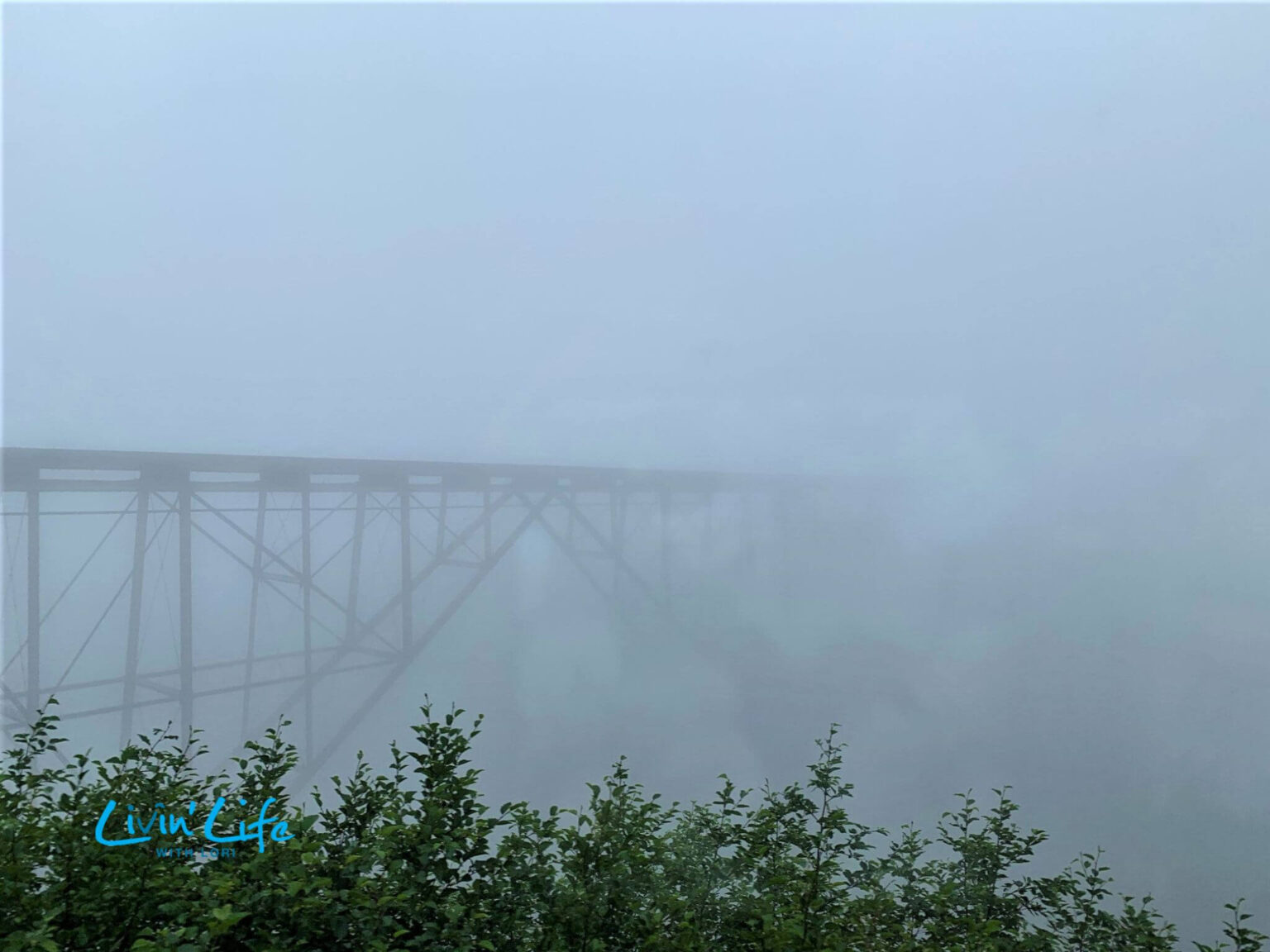Take An Epic Train Adventure On The White Pass Scenic Railway – Skagway ...