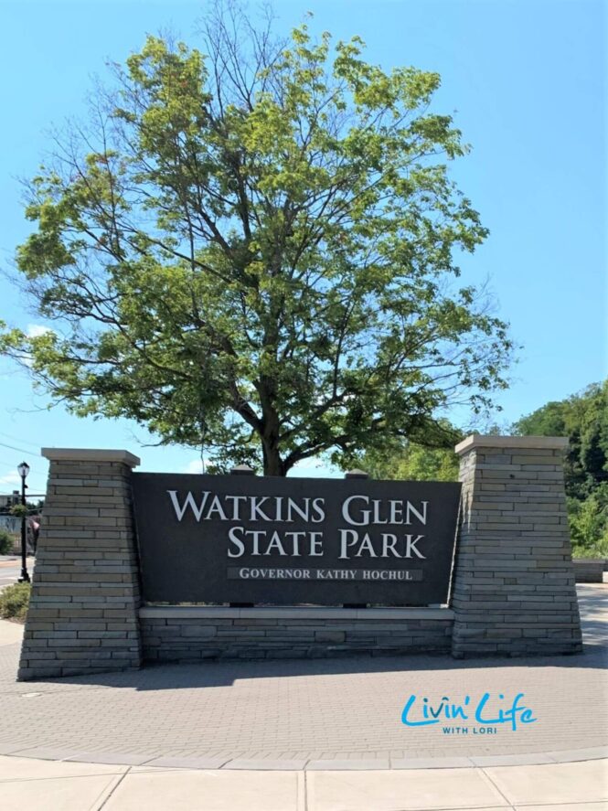 How To See Breathtaking Views When Hiking Watkins Glen State Park ...