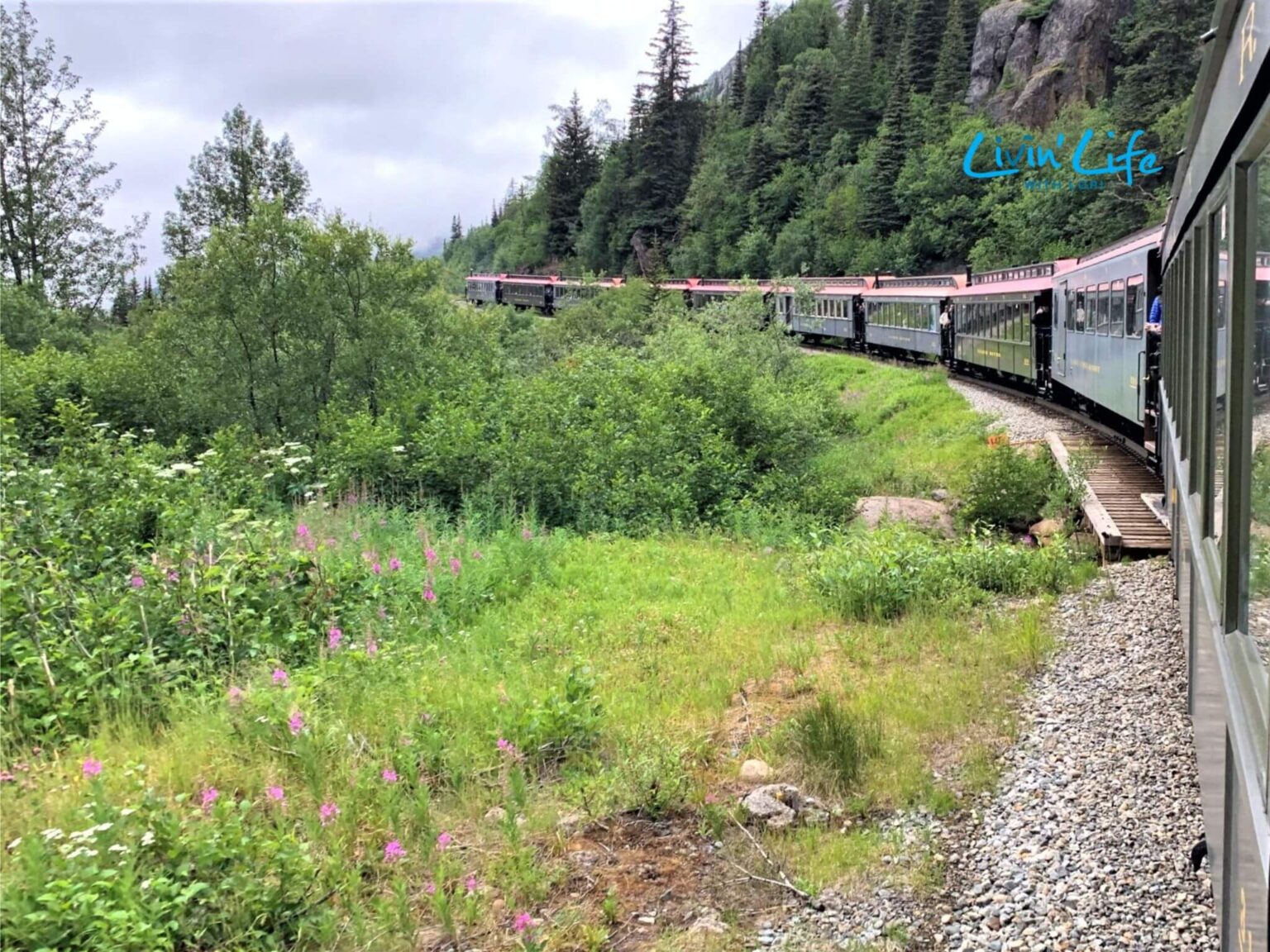 Take An Epic Train Adventure On The White Pass Scenic Railway – Skagway ...